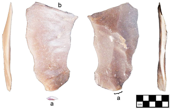 View of Clovis intentional bifacial overshot flaking: Two replica ...